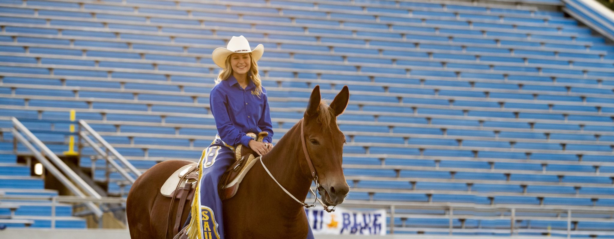 Career Services | Southern Arkansas University | Competent Muleriders