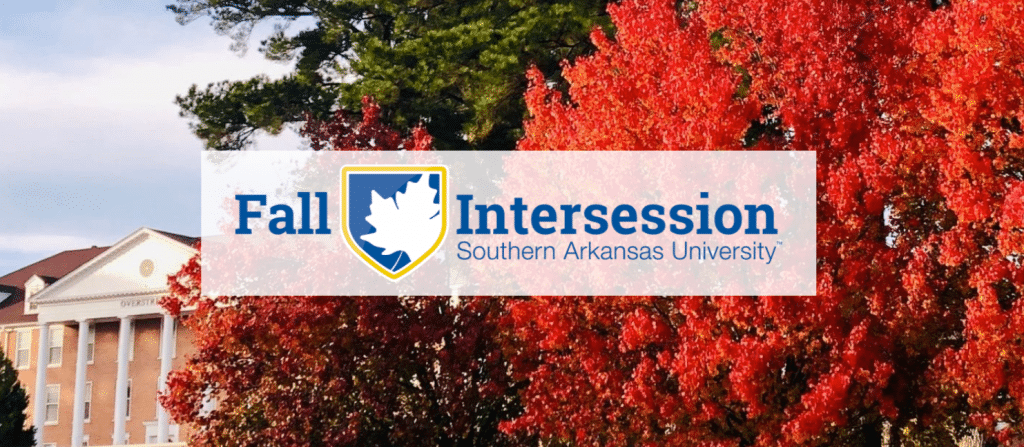 Students praise SAU’s 2020 intersession | News | Southern Arkansas ...